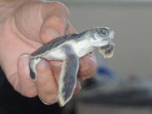 Seaway RV Village | Riverfront RV Park in Arroyo City, TX